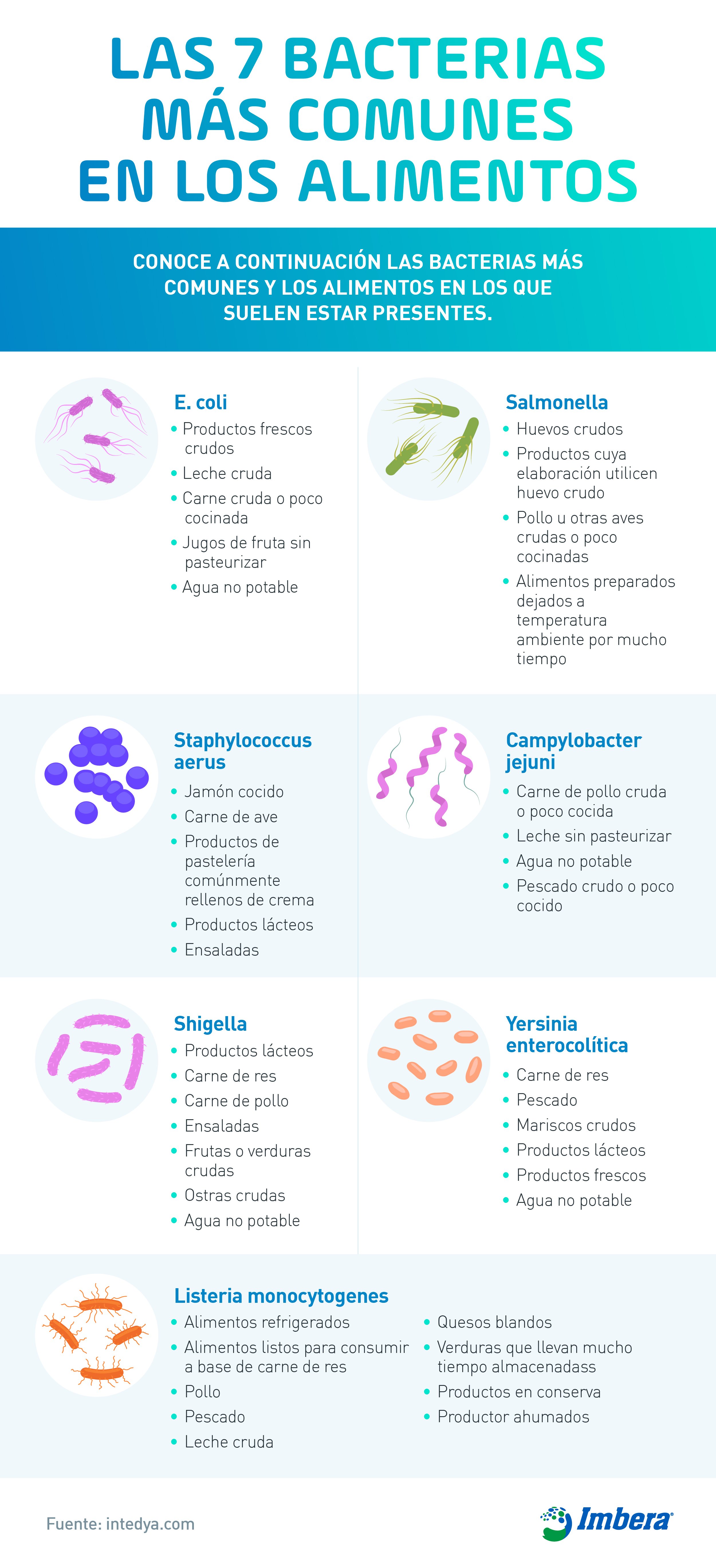 ¿Cuáles son las bacterias más comunes en los alimentos?